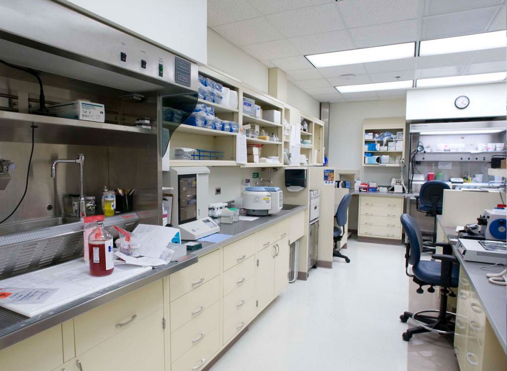 Patheon Inc Addition – Dedeciantis Construction